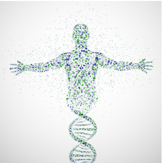 Your biography - The LightHeart Institute